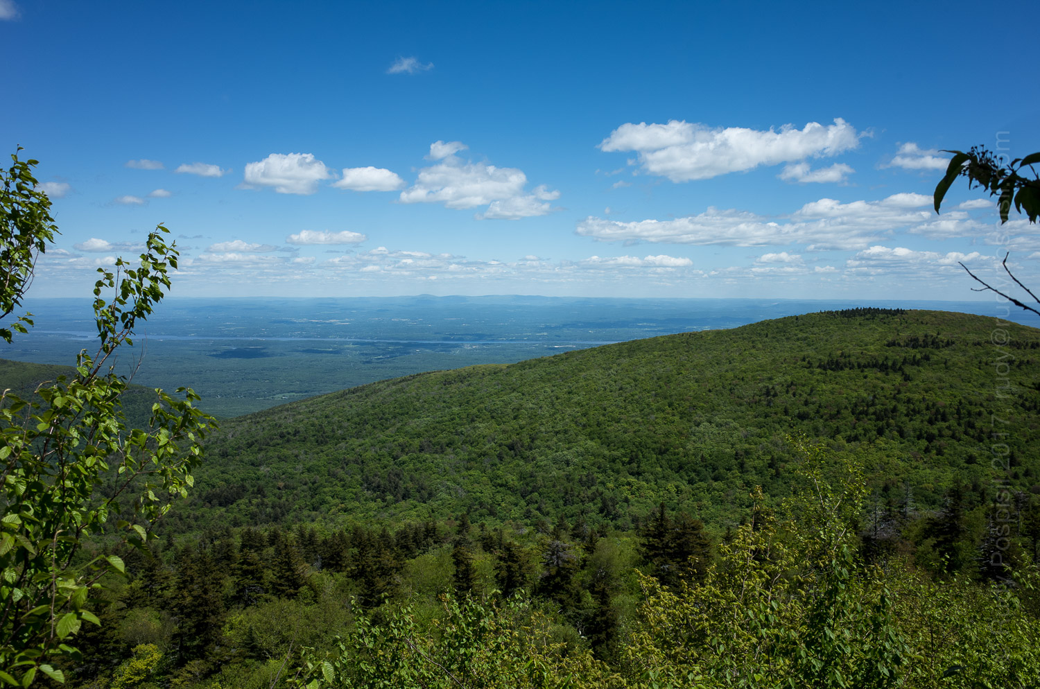 Catskill 3500, #9. Indian Head Mountain – Rudy Pospisil