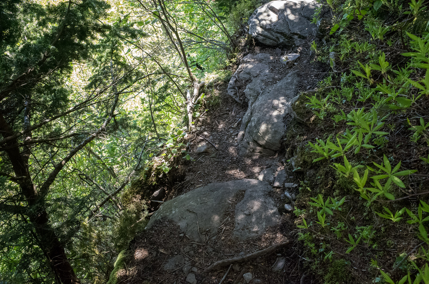 Catskill 3500, #9. Indian Head Mountain – Rudy Pospisil