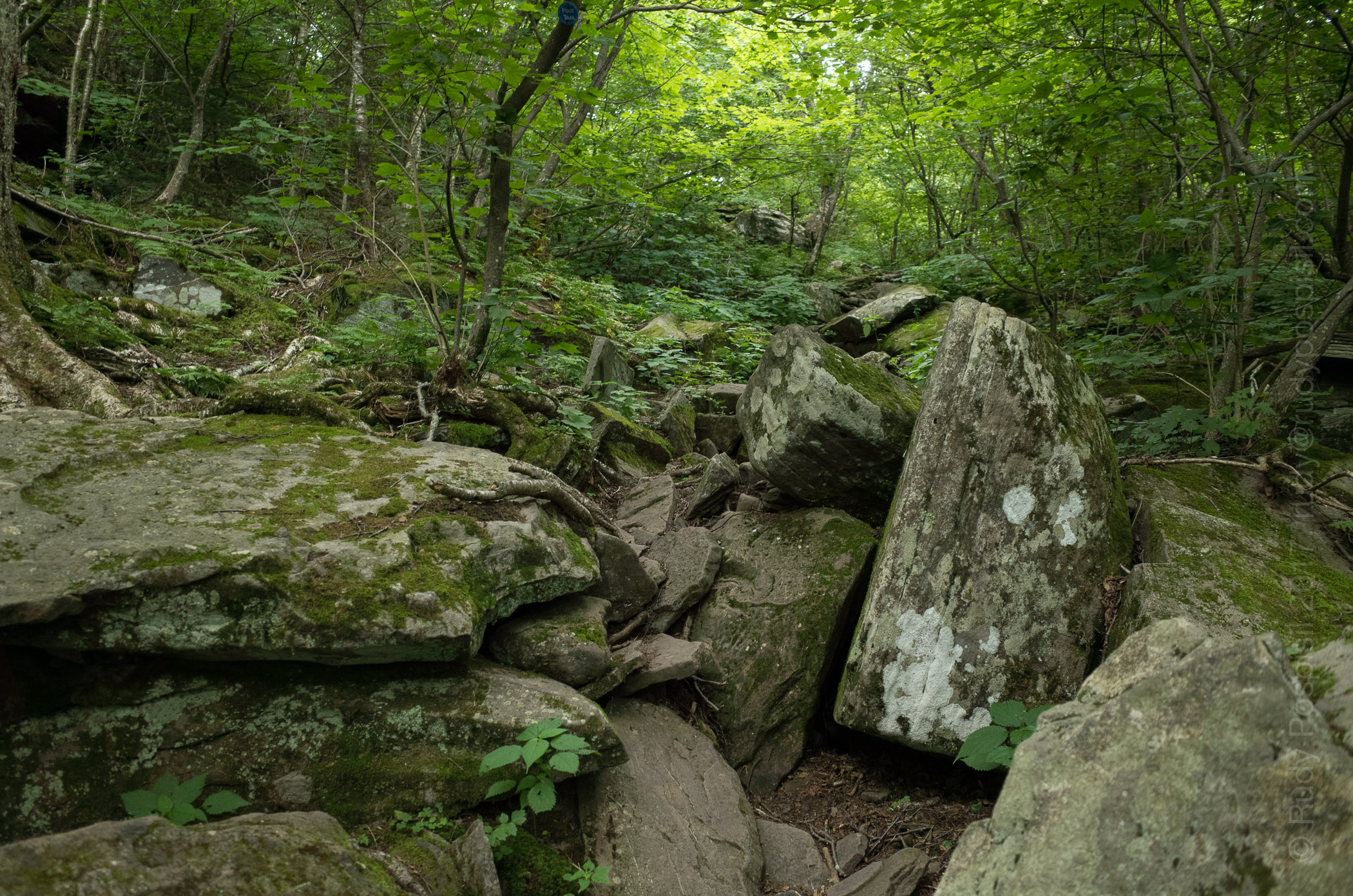 Catskill 3500, #13. Twin Mountain – Rudy Pospisil