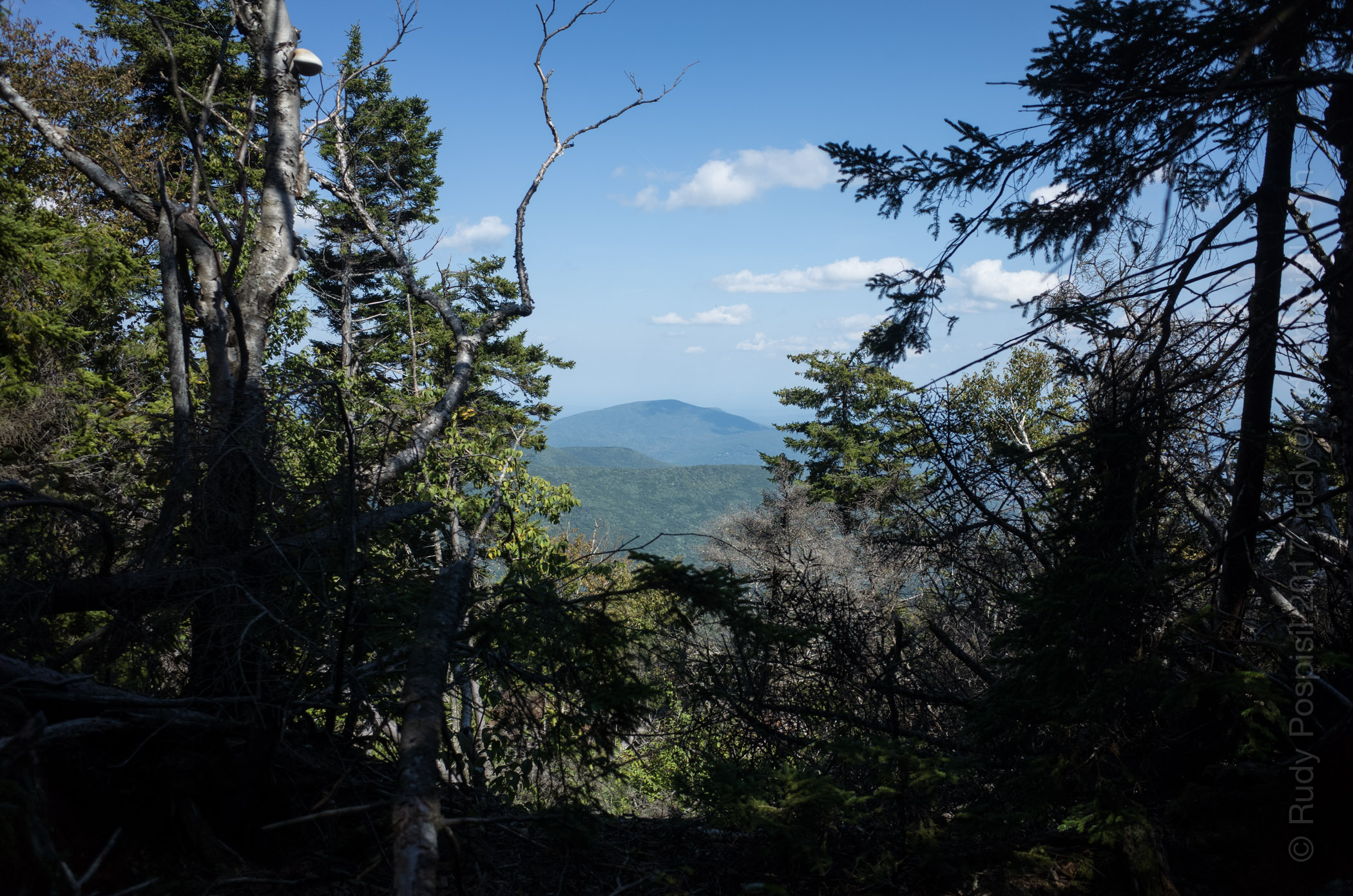 BLOG – Rudy Pospisil