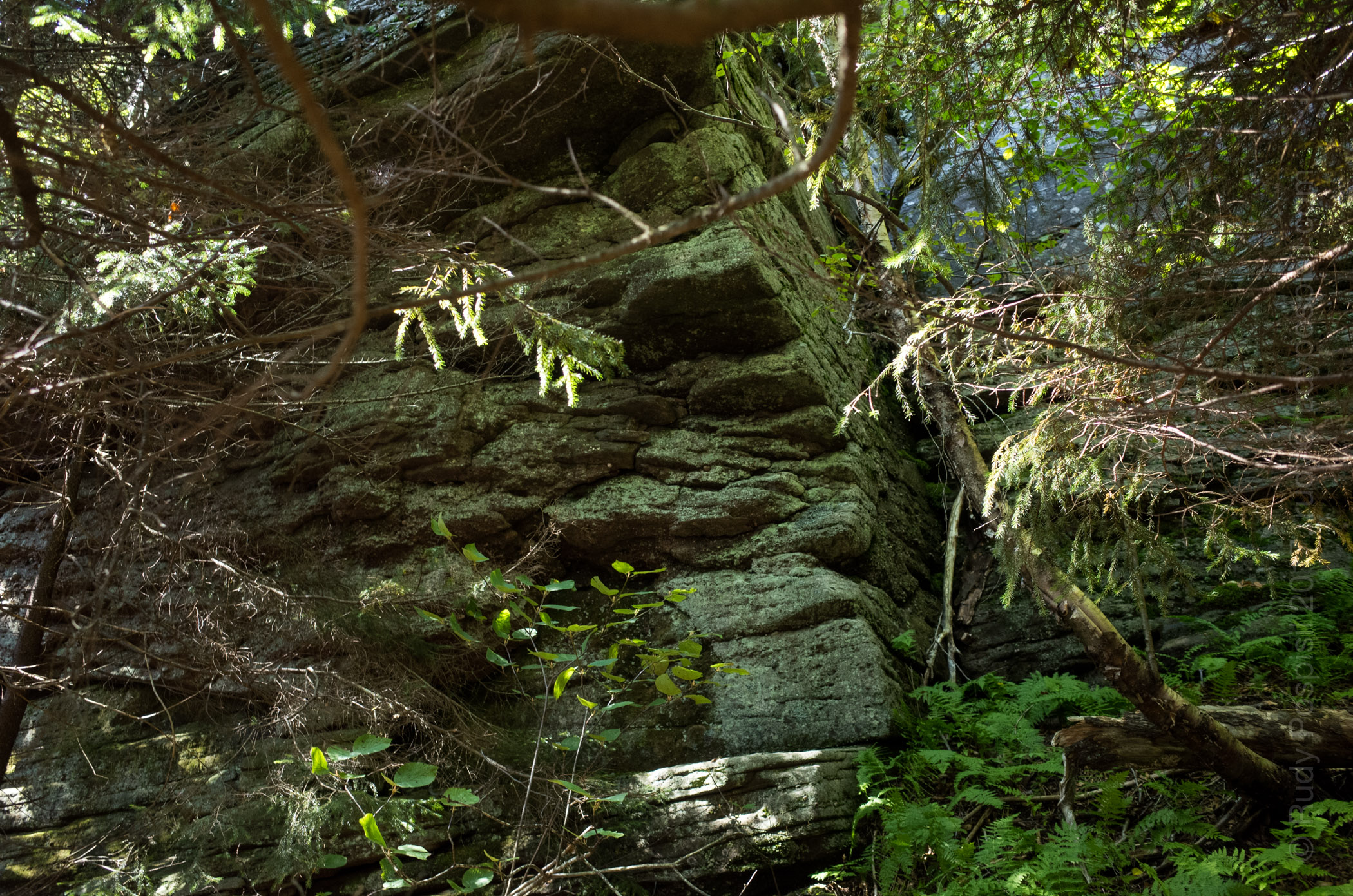 BLOG – Rudy Pospisil