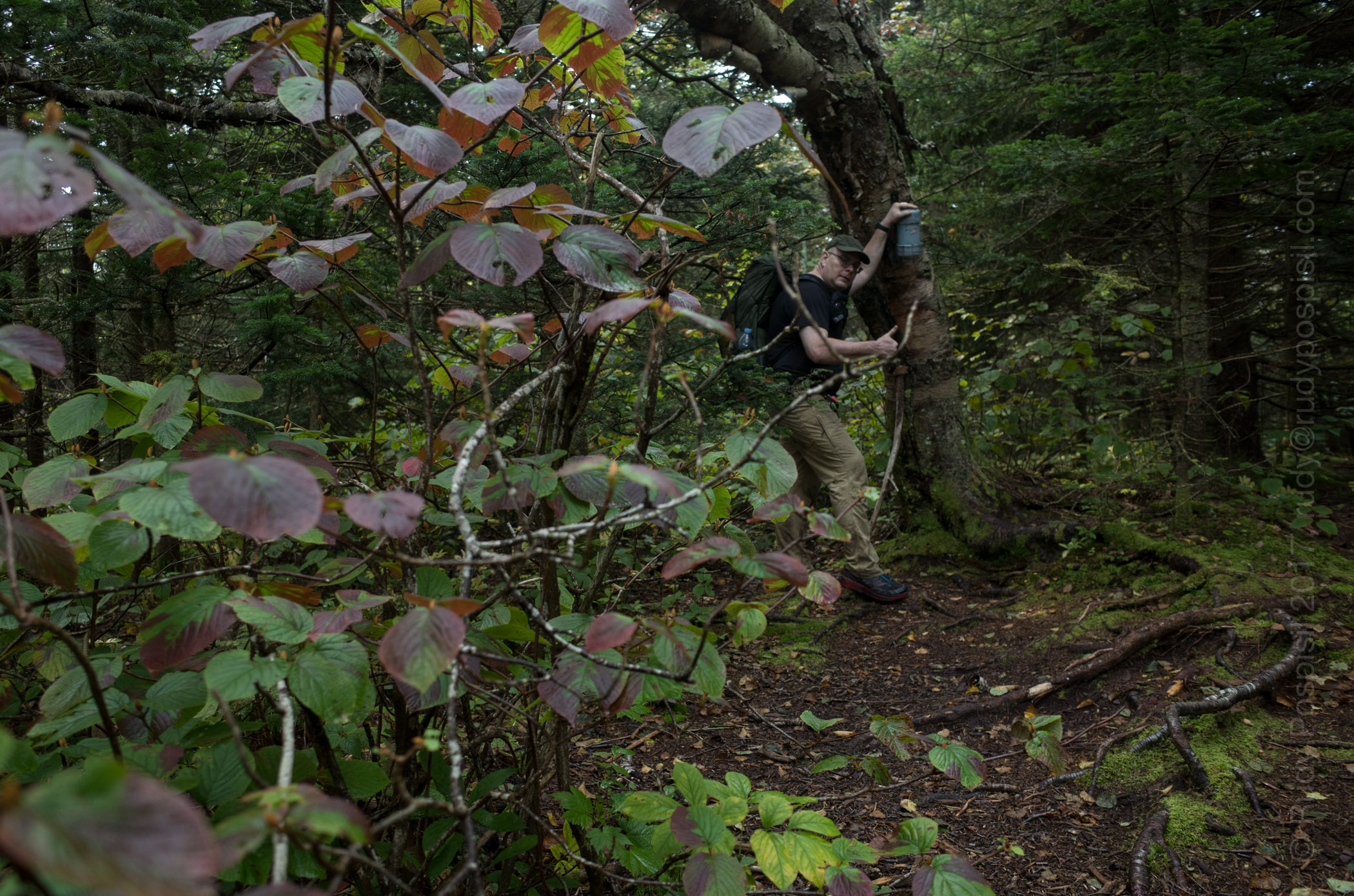 BLOG – Rudy Pospisil